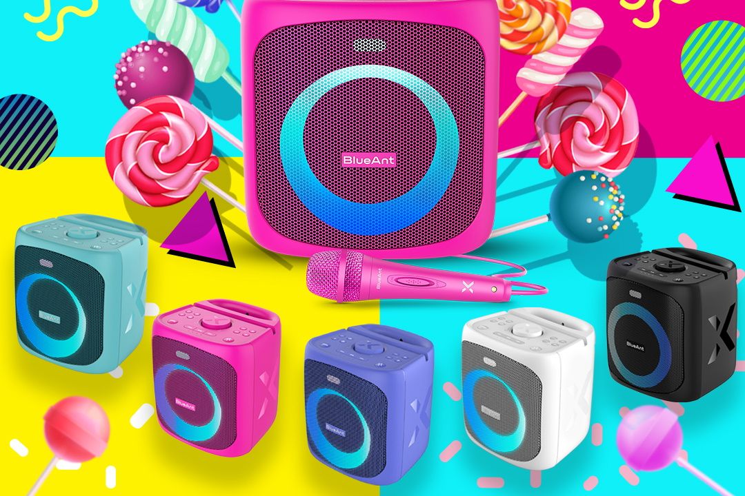 BlueAnt X4 party speaker: fun at home or in the park